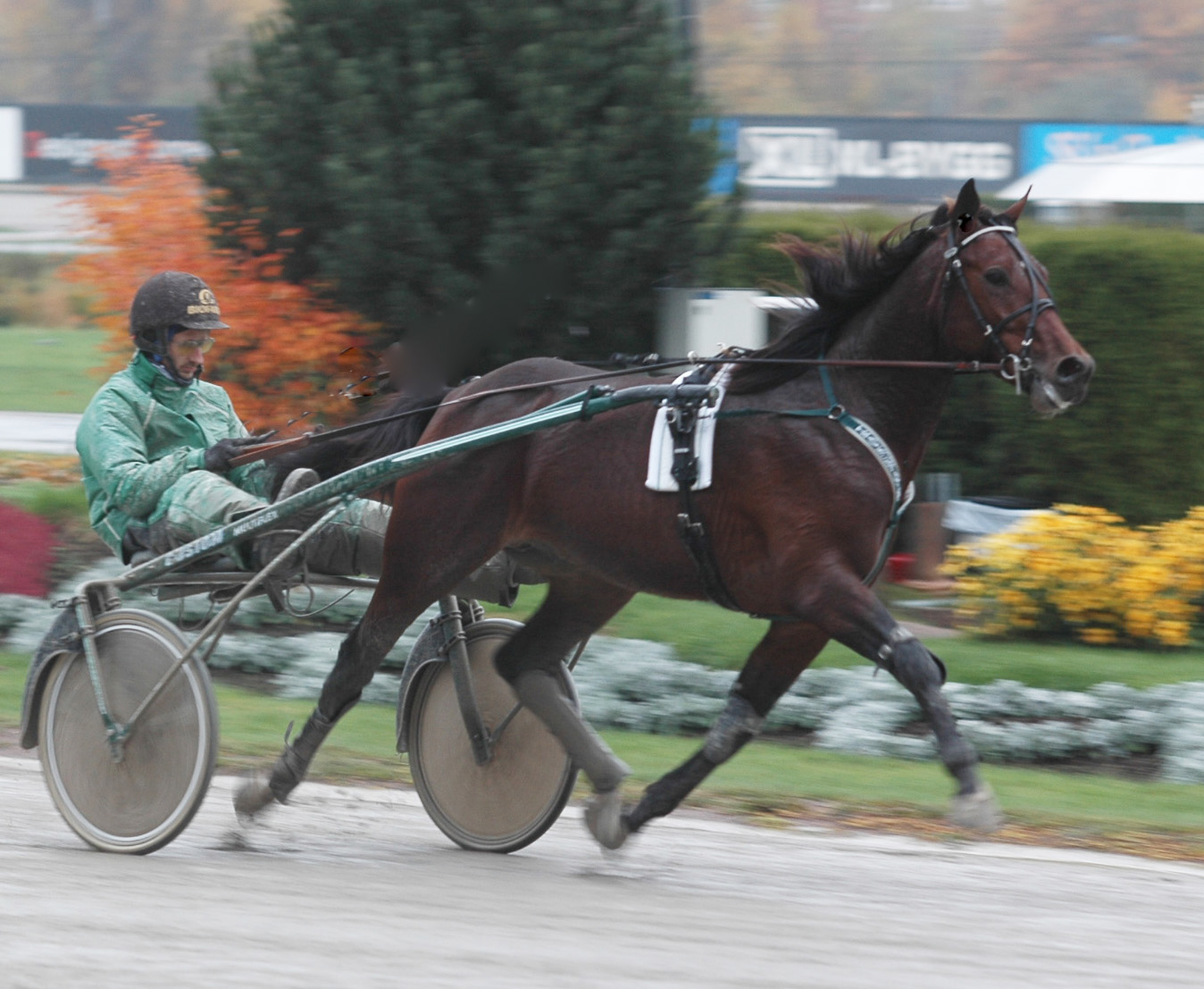 Travkompaniet.se - Who's Who avslutar tävlingskarriären